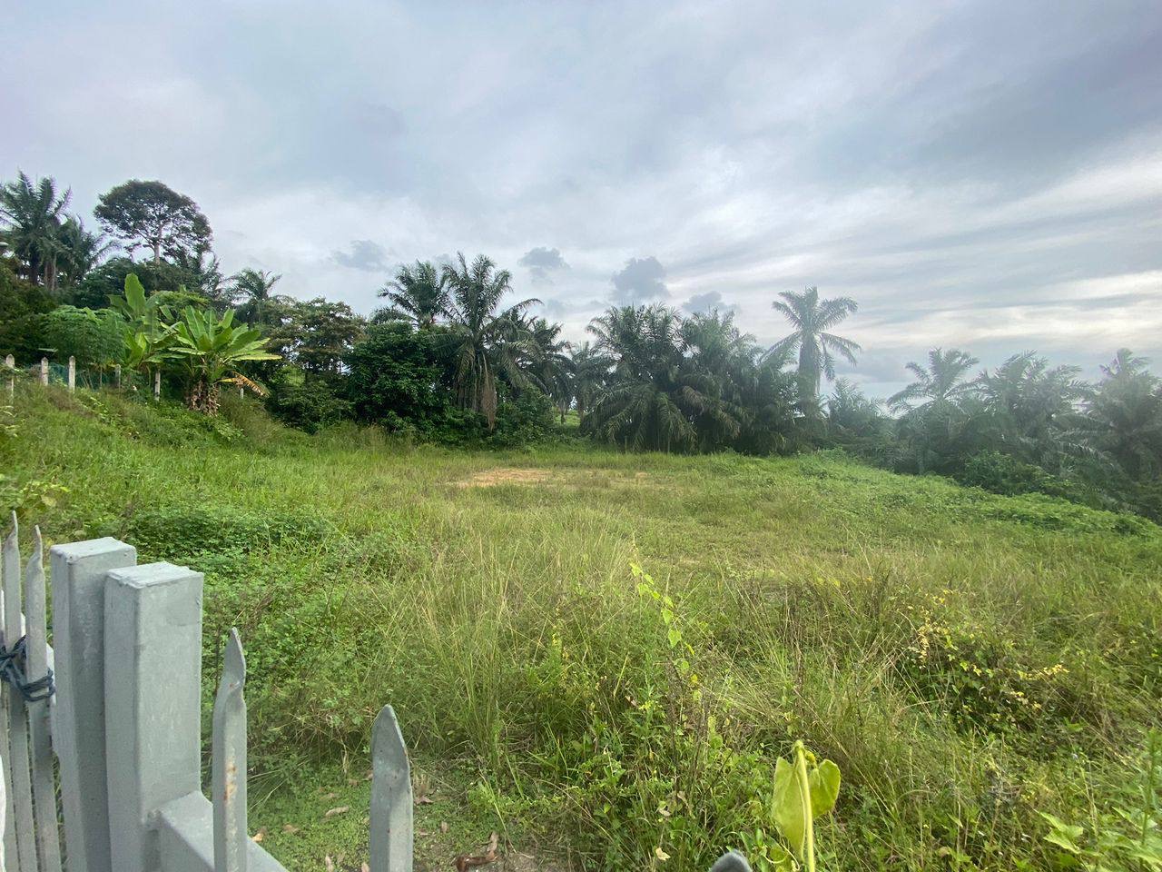 Tanah Lot Di Lipat Kajang Jasin Melaka – Iklan Tanah Melaka